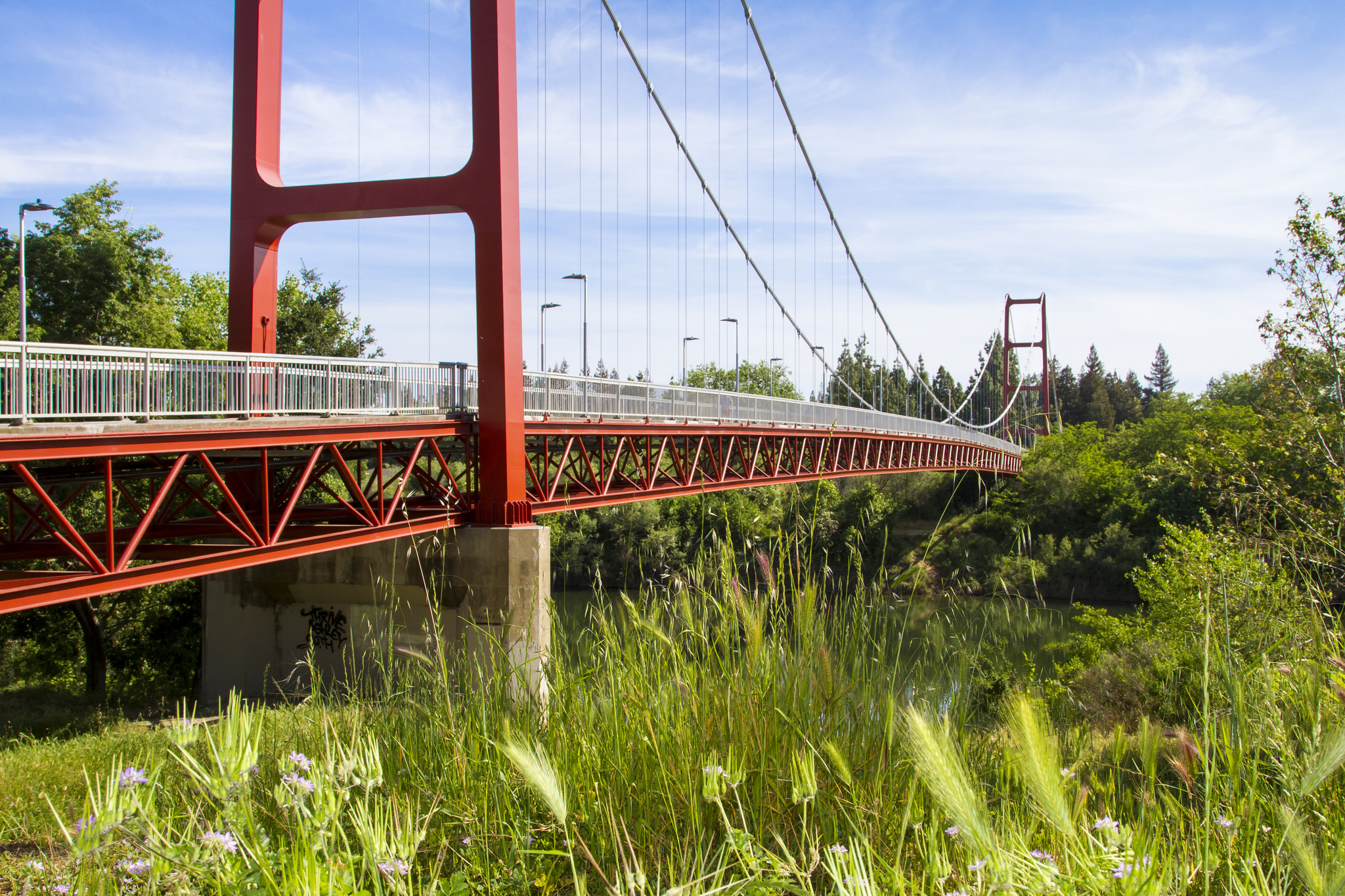 onbaseform.csus.edu - /obforms/eforms/stdaf/admissionspublic/img/